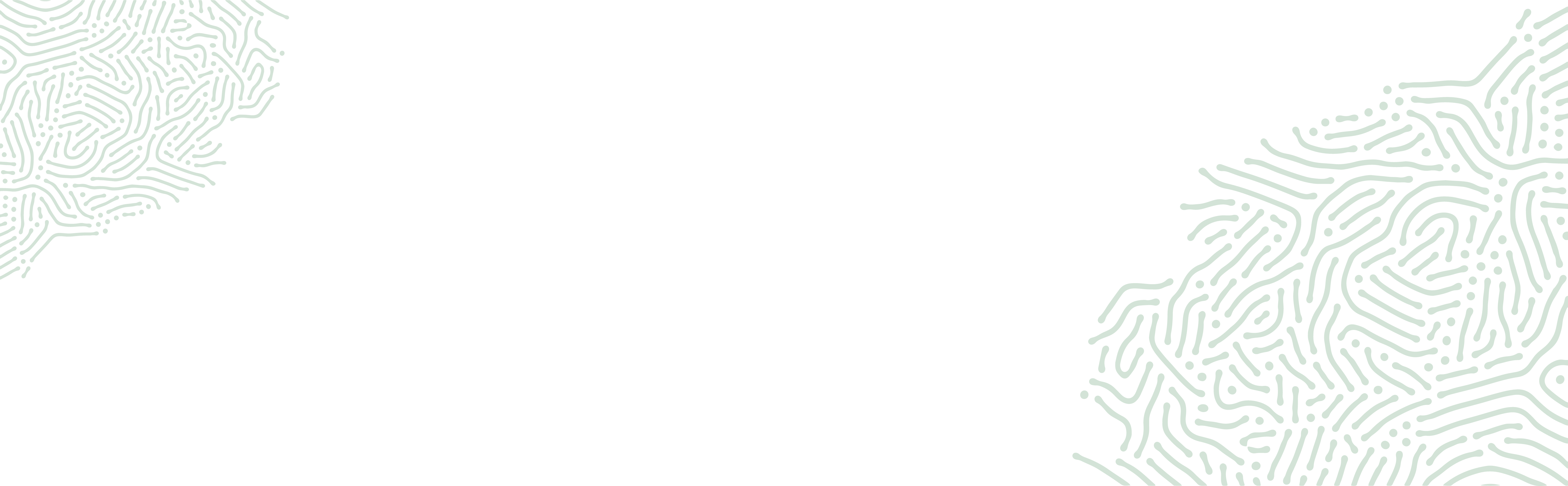 About BCC Foundation - BCC